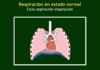 ¿Cómo se produce la tos?